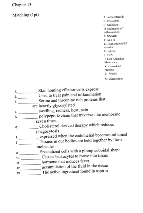 Solved Chapter 13 Matching (1pt) B. P selectins C. | Chegg.com