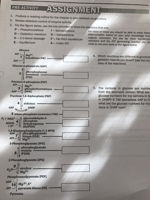 Solved ASSIGNMENT PRE-ACTIVITY 1. Produce a reading outline | Chegg.com