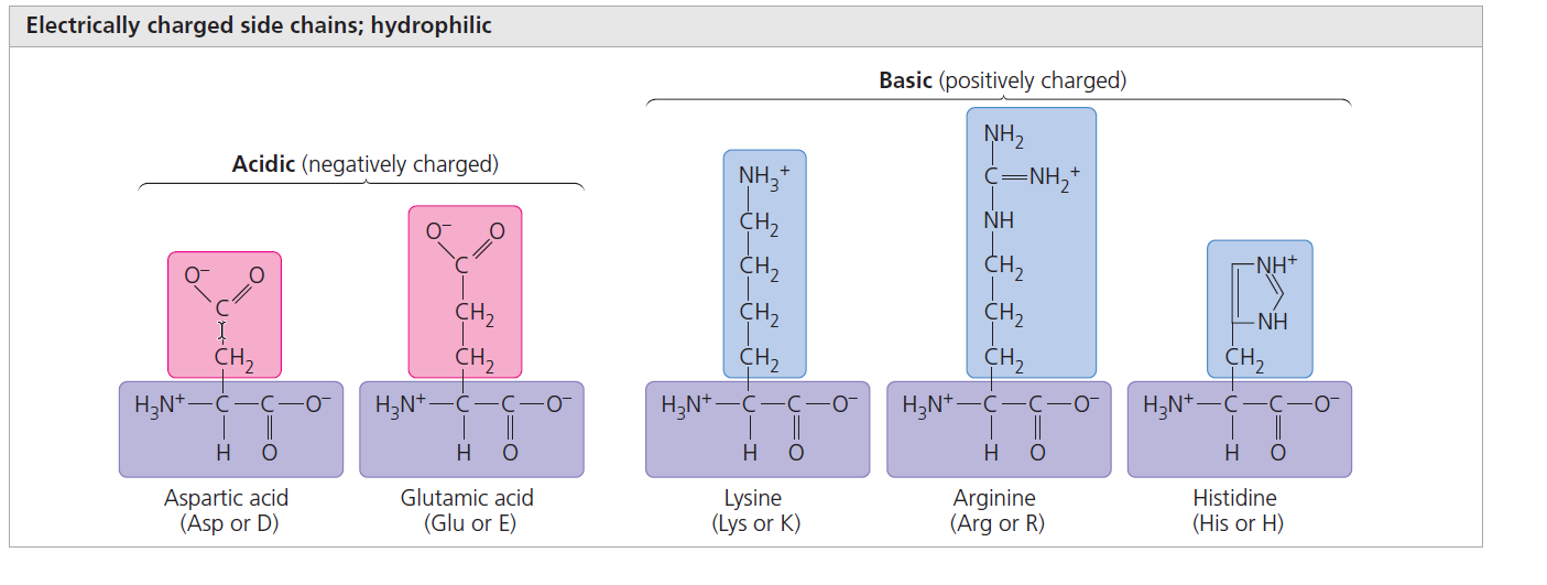 Solved Introduction/Sketches: 1. Draw the structure of | Chegg.com