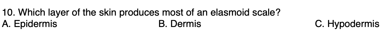 Solved 10. Which layer of the skin produces most of an | Chegg.com