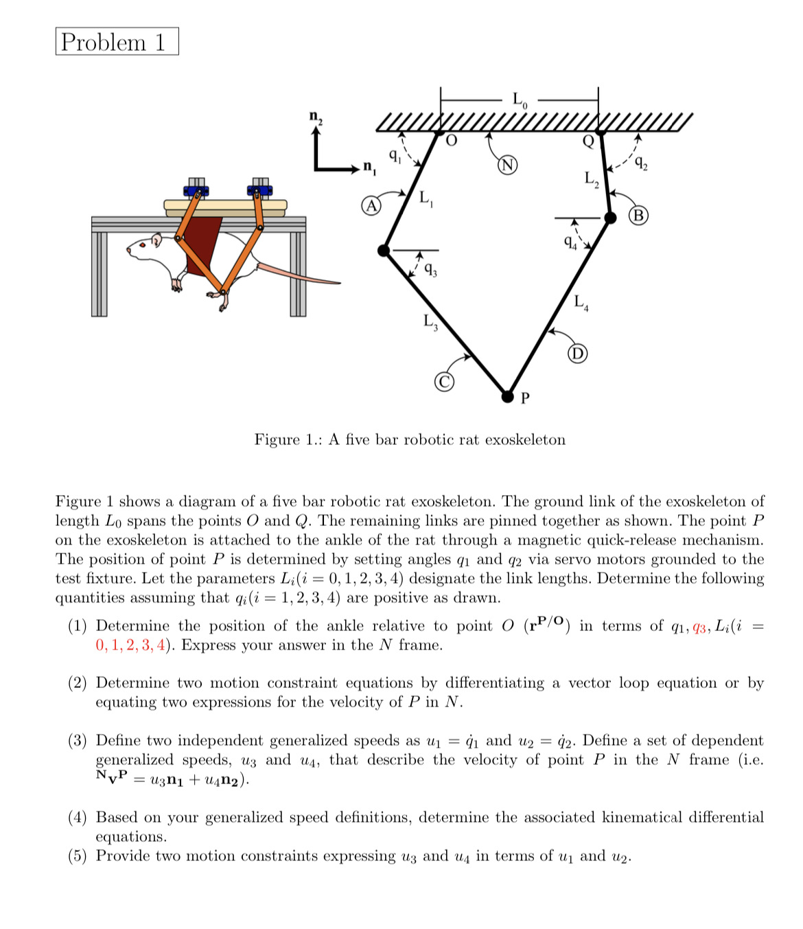 Solved Figure 1.: A five bar robotic rat exoskeleton Figure | Chegg.com