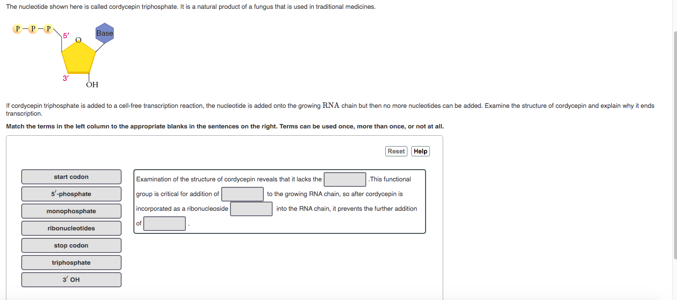 Solved The nucleotide shown here is called cordycepin | Chegg.com