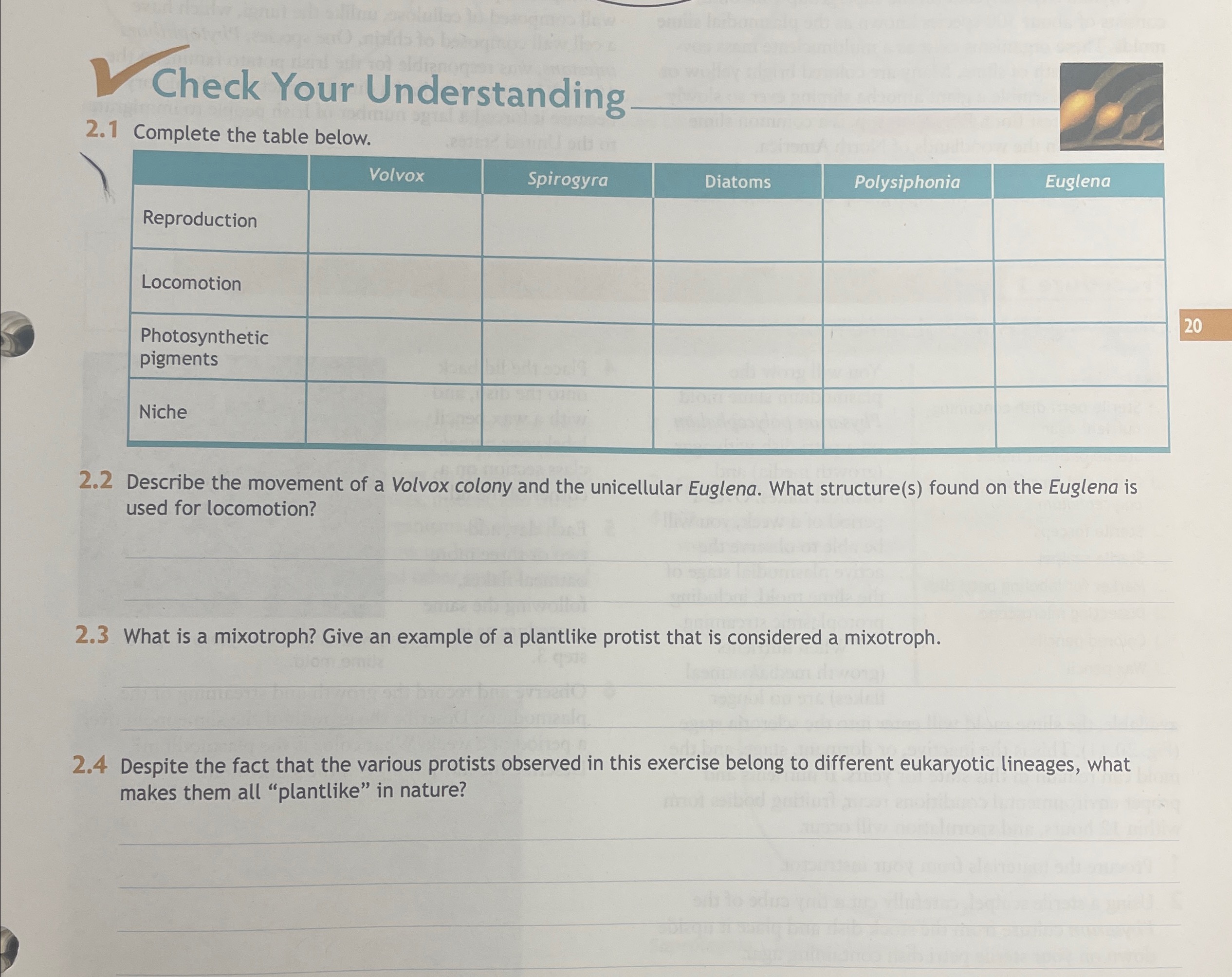 Solved Check Your Understanding 2.1 Complete the table | Chegg.com