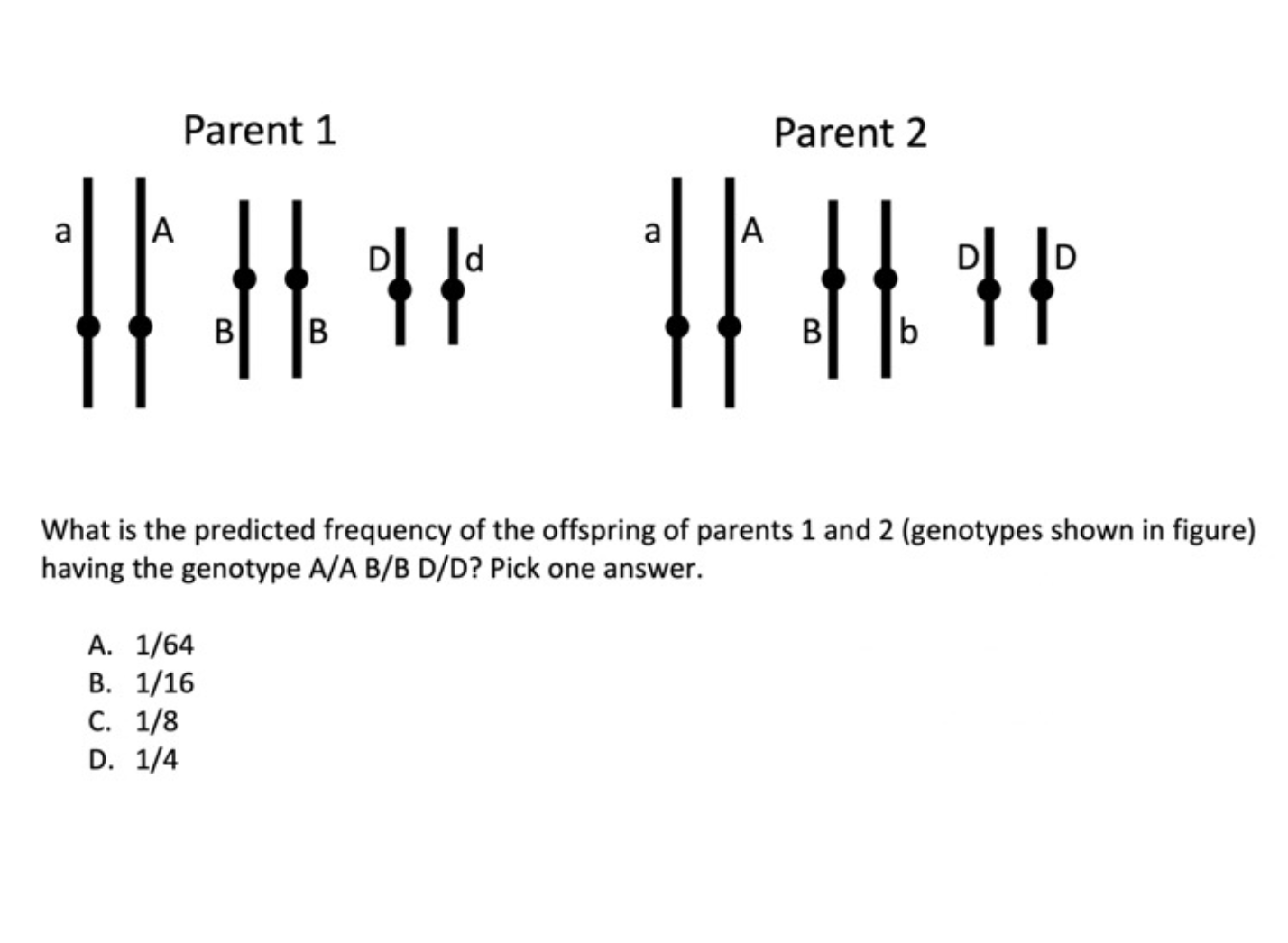 Solved What is the predicted frequency of the offspring of | Chegg.com
