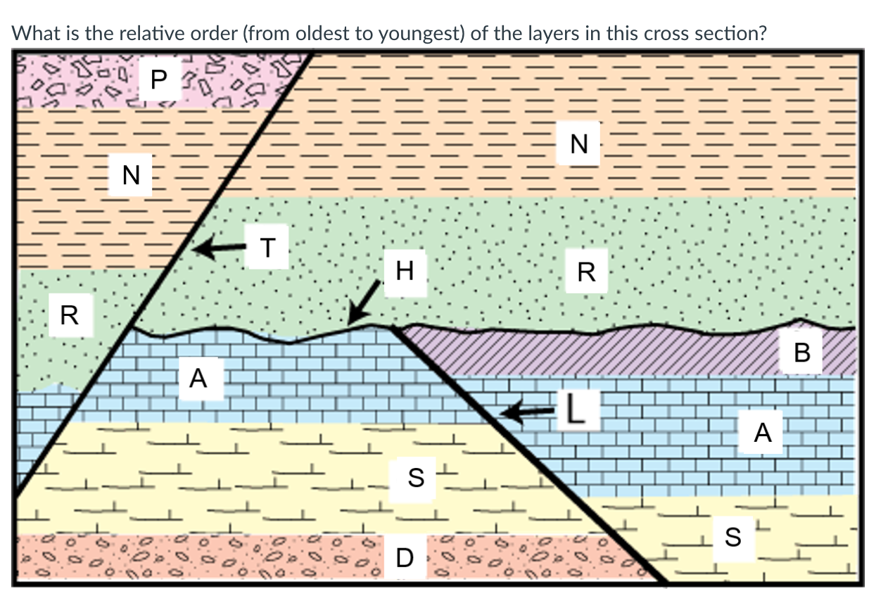Solved Part B: There is a bone found in layer “R” from the | Chegg.com