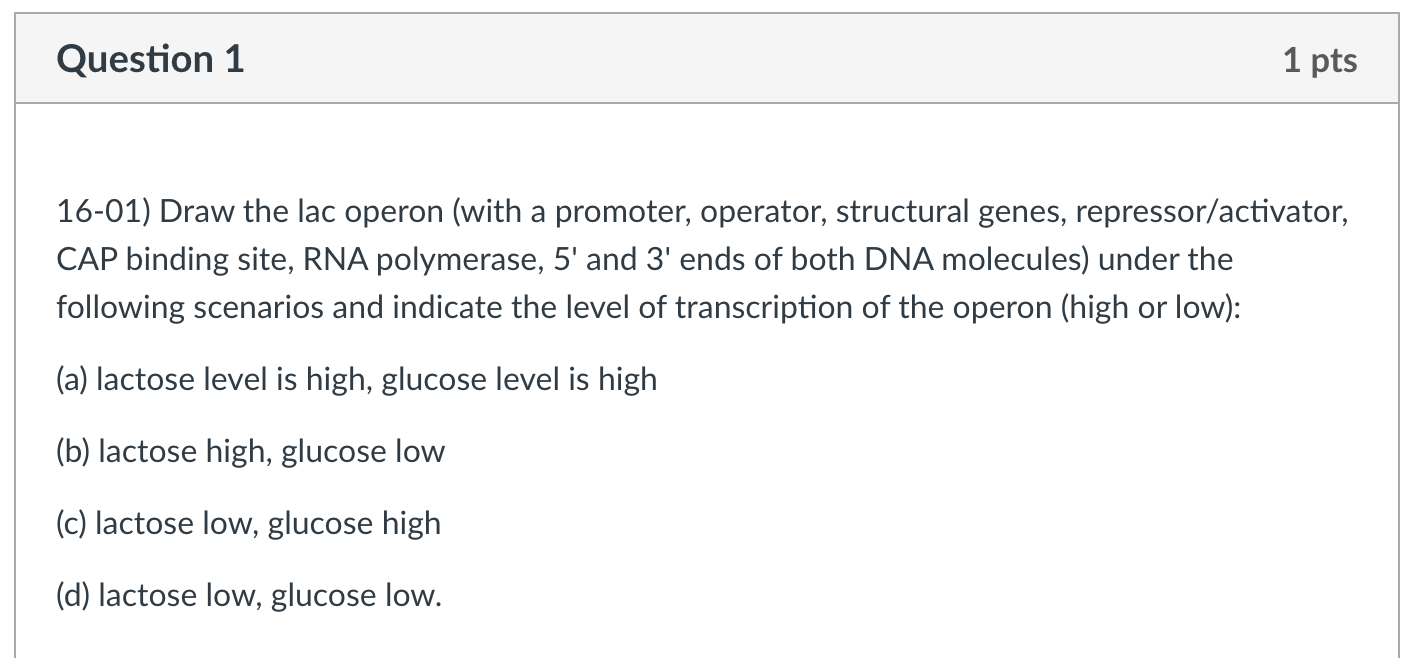 Solved Question 1 1 pts 16-01) Draw the lac operon (with a | Chegg.com