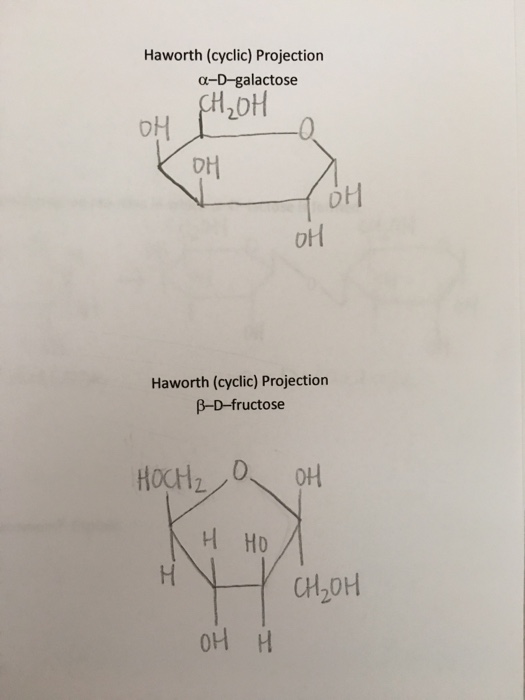 Solved Haworth (cyclic) Projection alpha-D-galactose | Chegg.com