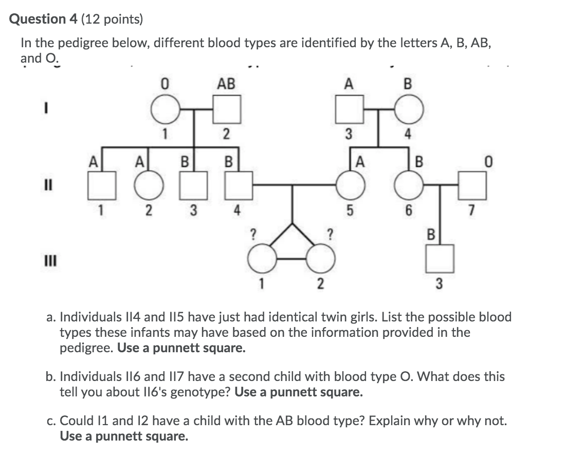 Solved Question 4 (12 points) In the pedigree below, | Chegg.com