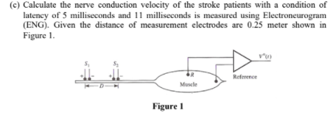 Solved (c) Calculate the nerve conduction velocity of the | Chegg.com