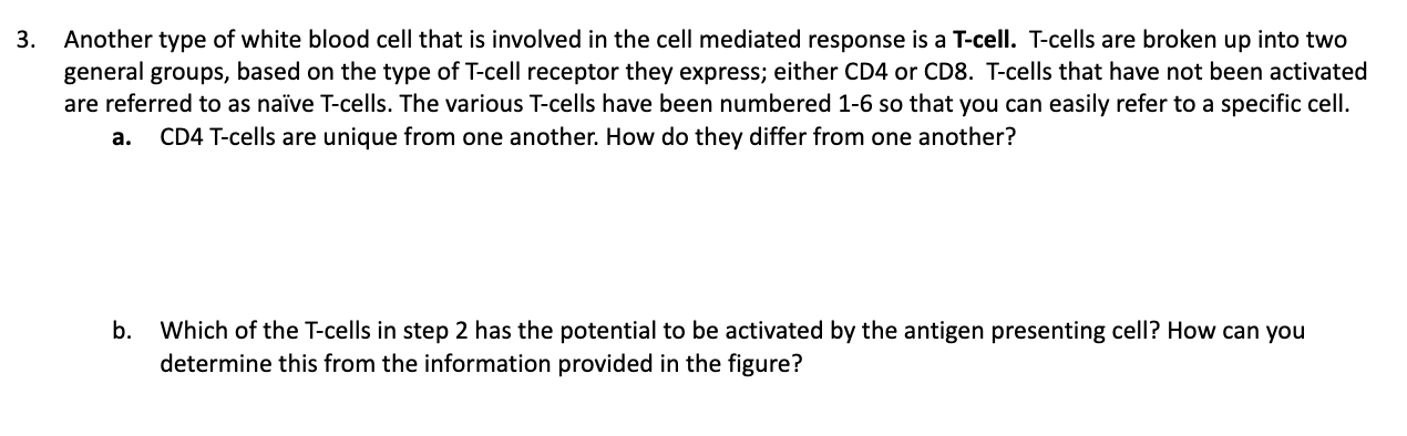 Solved Module 1 - Antigen presentation and T-cell | Chegg.com