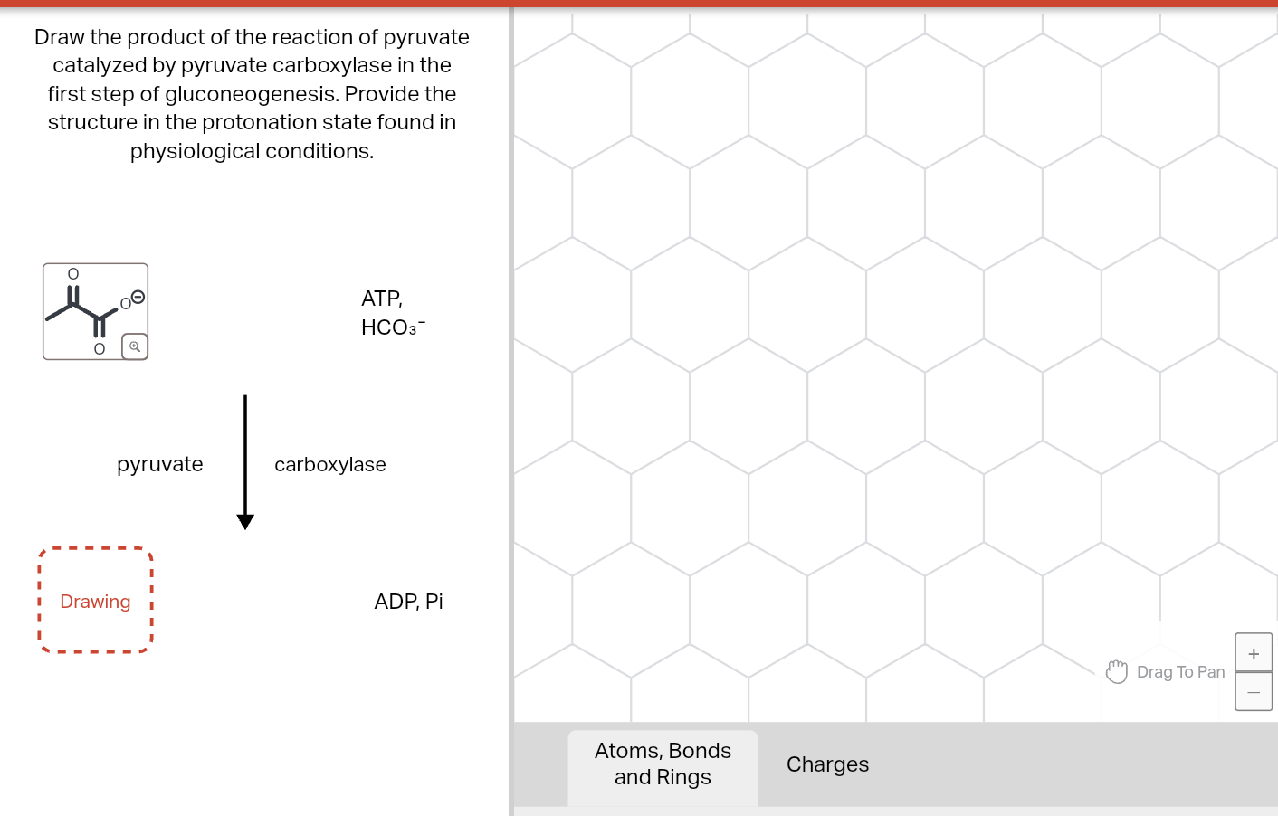 Solved Draw the product of the reaction of pyruvate | Chegg.com