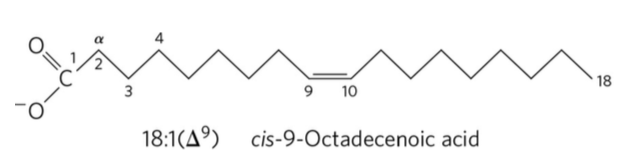 Solved 4 18 9 10 18:1(A) cis-9-Octadecenoic acid Consider | Chegg.com