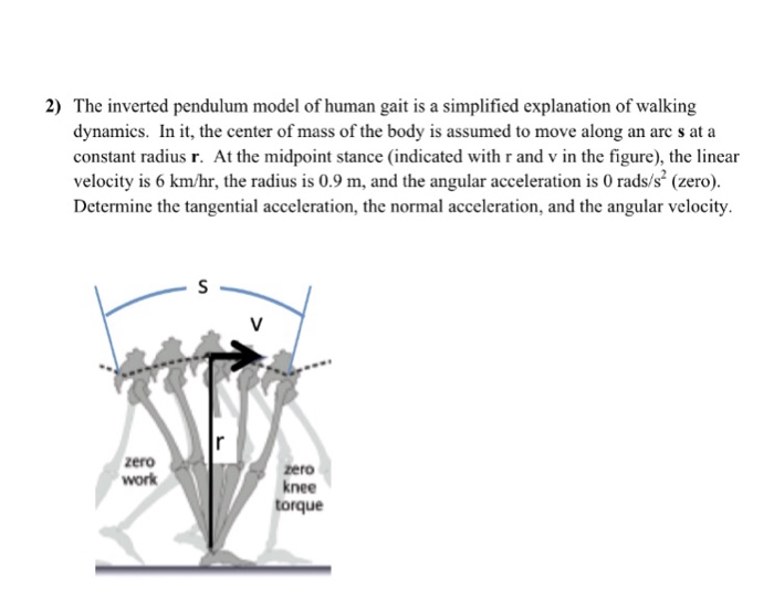 Solved 2) The inverted pendulum model of human gait is a | Chegg.com