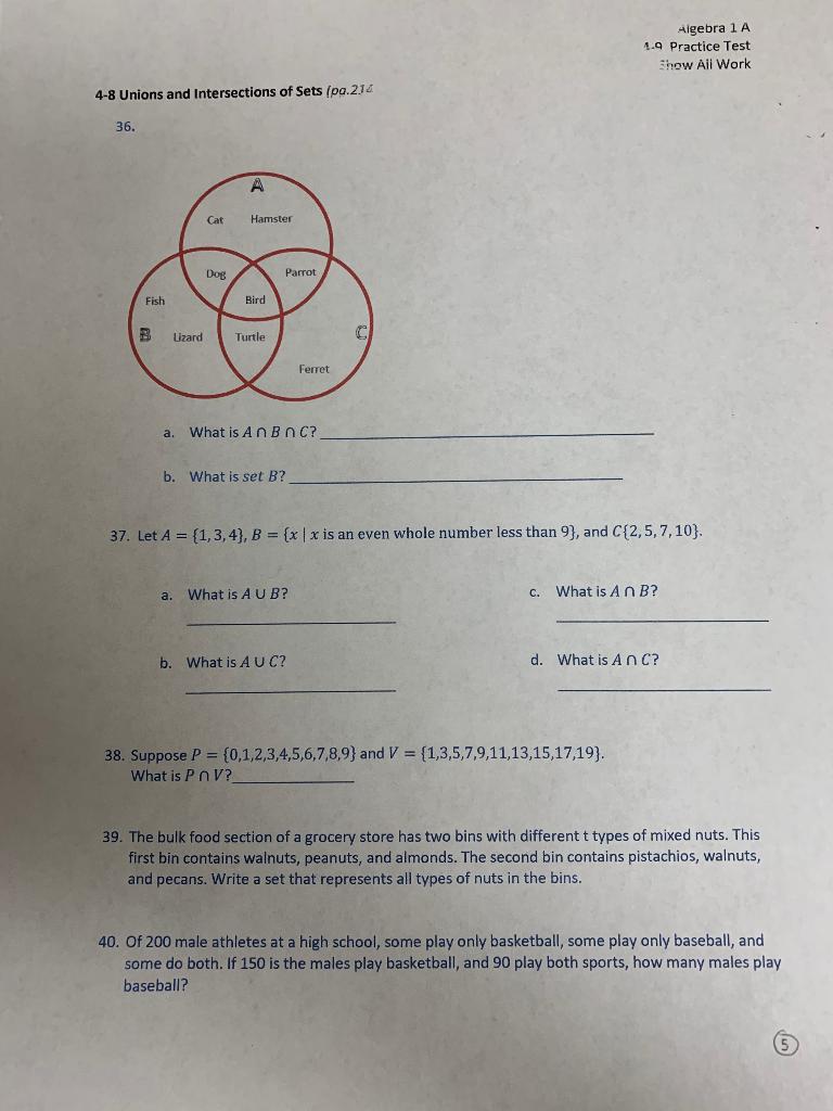 Solved Algebra 1 A 4.9 Practice Test Show All Work 4-8 | Chegg.com