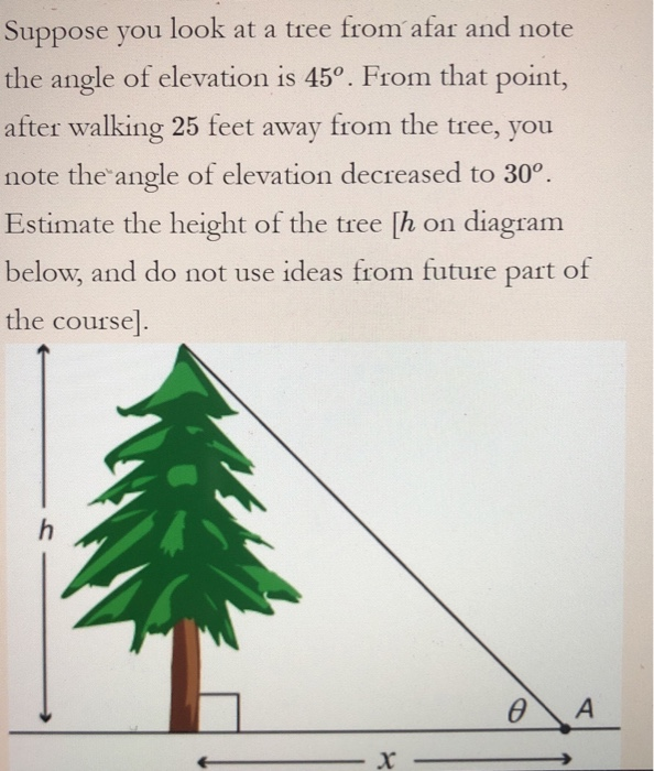 Solved Suppose you look at a tree from afar and note the | Chegg.com