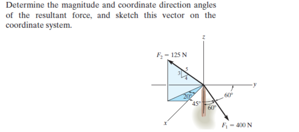 Solved Determine the magnitude and coordinate direction | Chegg.com
