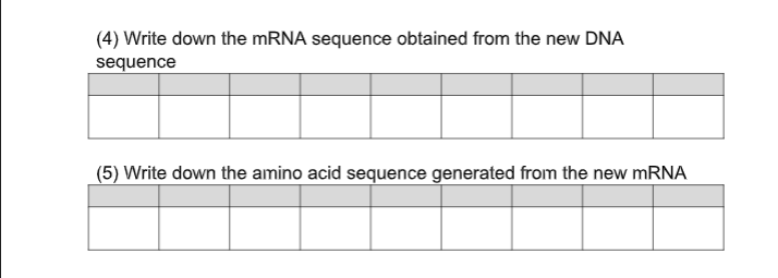 Solved The following is a stretch of DNA sequence. Answer | Chegg.com