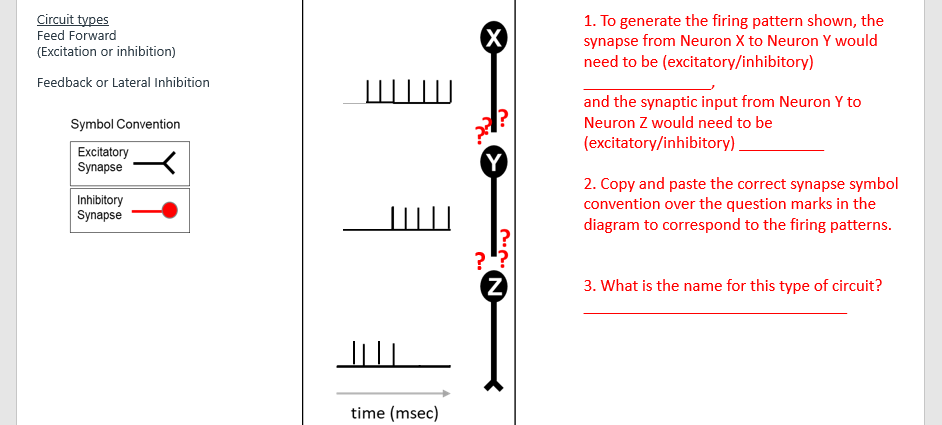 Solved Circuit types Feed Forward (Excitation or inhibition) | Chegg.com