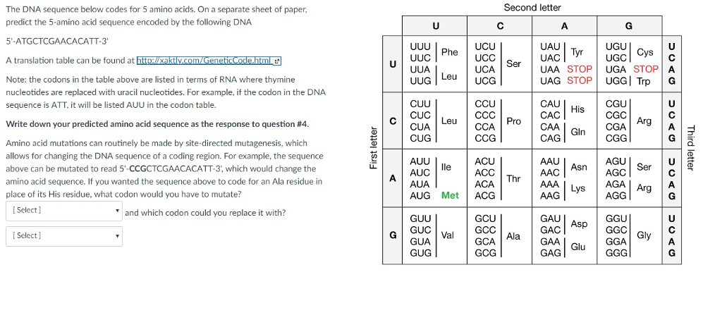 What is the amino acid sequence coded by the original | Chegg.com