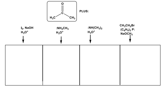 Solved O PLUS: H3C сн. 12, NaOH H30* :NH2CH3 H30* :NH(CH3)2 | Chegg.com