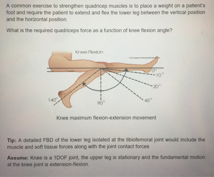 Solved A common exercise to strengthen quadricep muscles is | Chegg.com