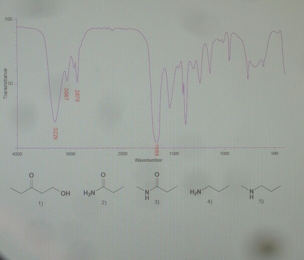 Solved Identify the structure below that is most consistent | Chegg.com
