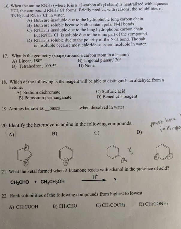 Solved 16. When the amine RNH2 (where R is a 12-carbon alkyl | Chegg.com