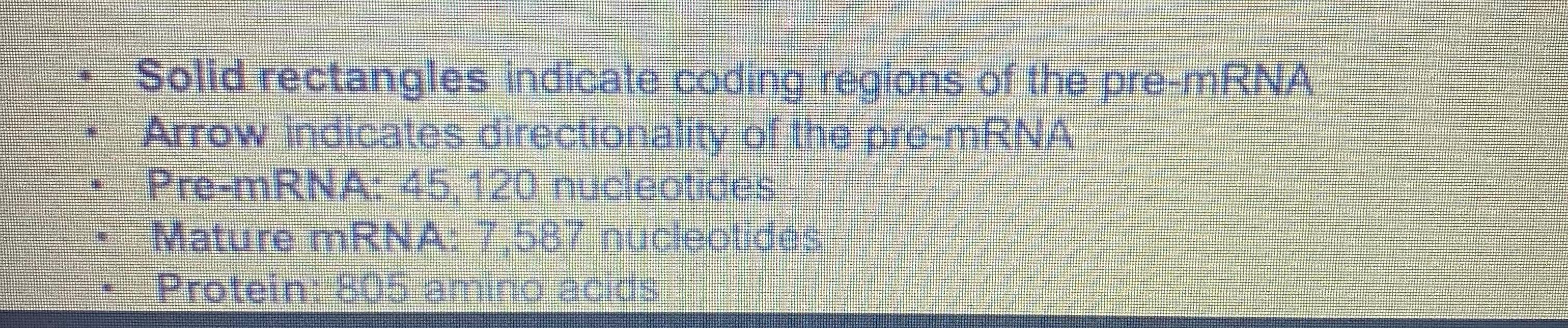 Solved Transcript map of precursor mRNA (pre-mRNA) encoded | Chegg.com