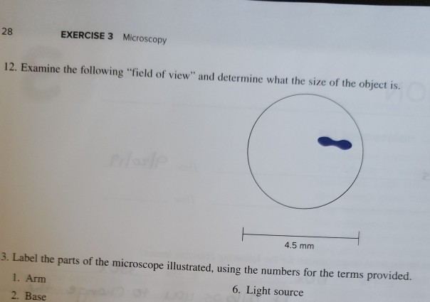 Solved EXERCISE 3 Microscopy 12. Examine the following field | Chegg.com