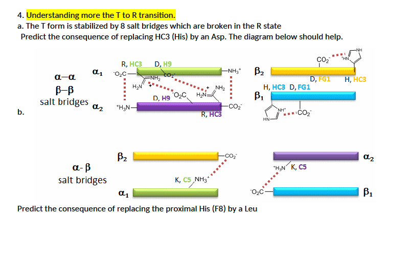 Solved 4. Understanding more the T to R transition. a. The T | Chegg.com