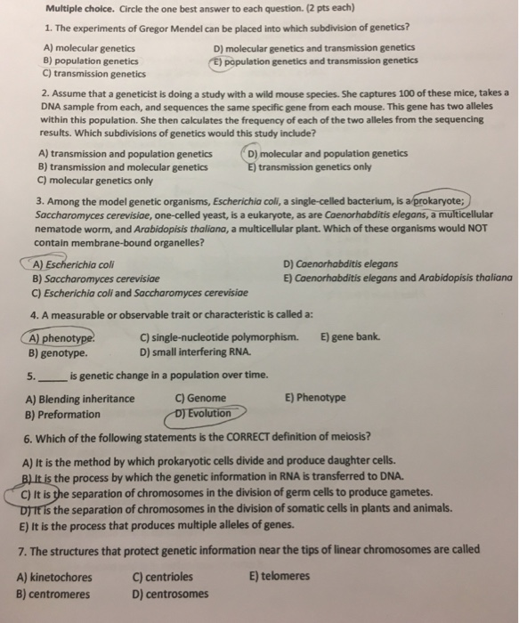 Solved Multiple choice. Circle the one best answer to each | Chegg.com