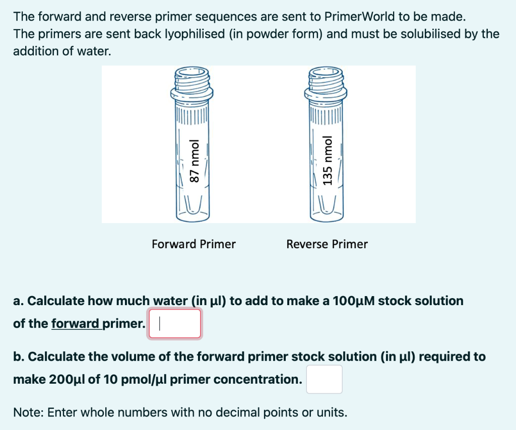 Solved The forward and reverse primer sequences are sent to | Chegg.com