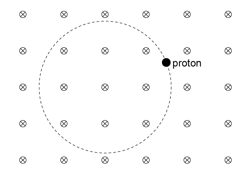 Solved A proton moves along a circular path in a region of a | Chegg.com