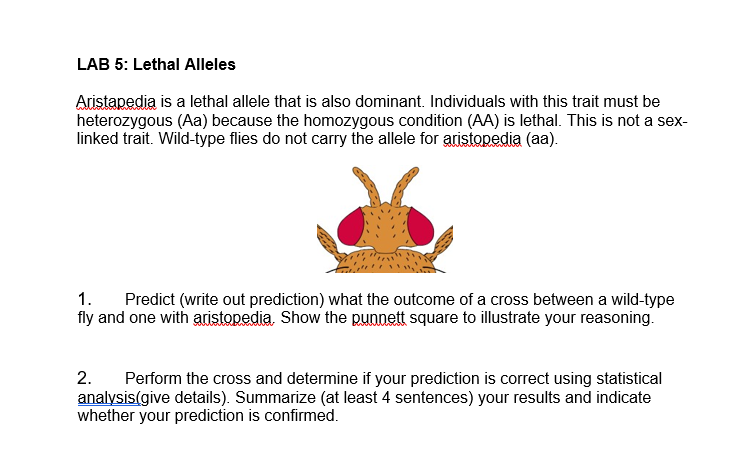 Solved LAB 5: Lethal Alleles Aristapedia is a lethal allele | Chegg.com