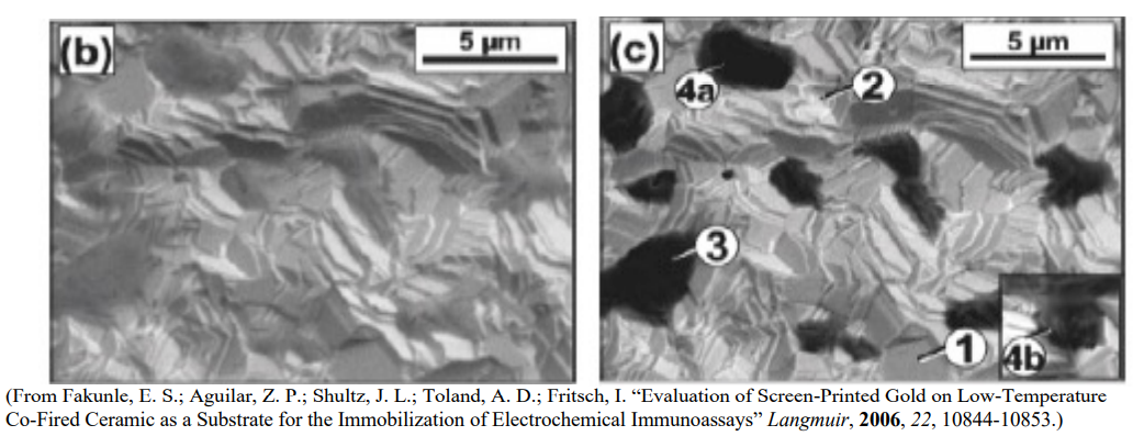 Solved Below are two SEM images of a surface of gold on a | Chegg.com