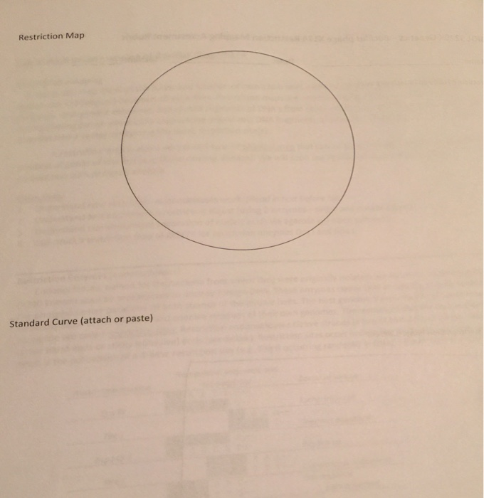 Solved Restriction mapping map displays the order and | Chegg.com