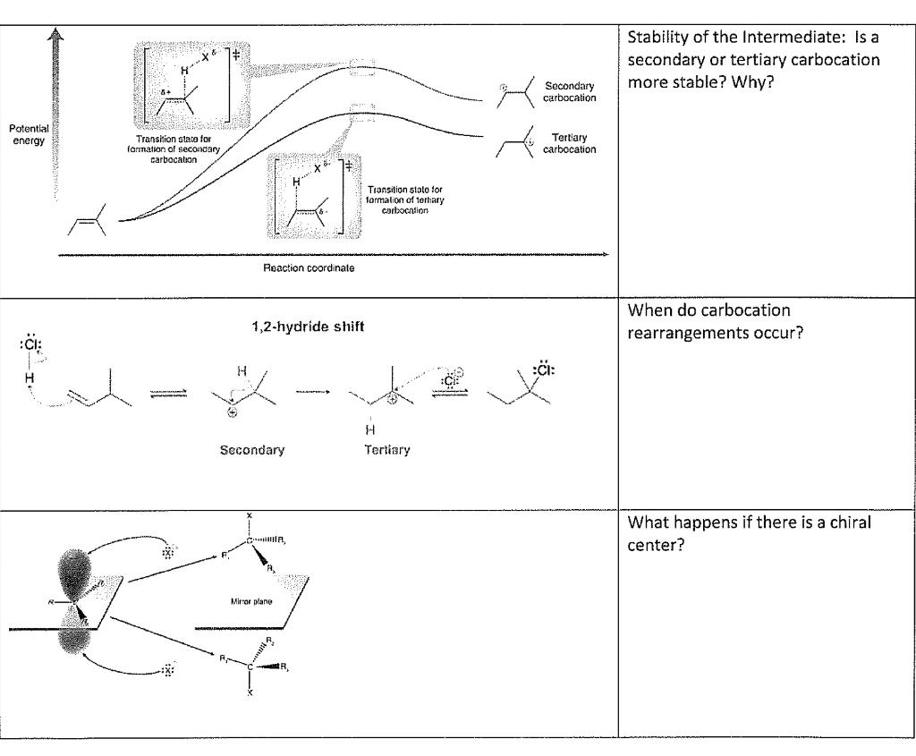Solved Stability of the Intermediate: Is a secondary or | Chegg.com