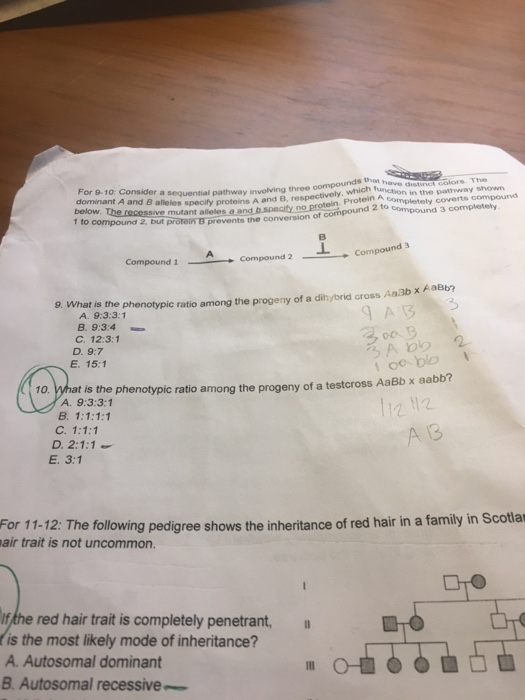 Solved For 9-10 Consider a sequential pathway involving | Chegg.com