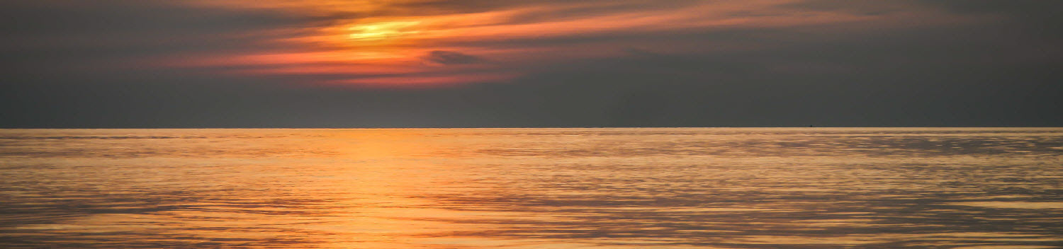 Solved o Using HTML and CSS, ﻿create a website for a “Yoga | Chegg.com