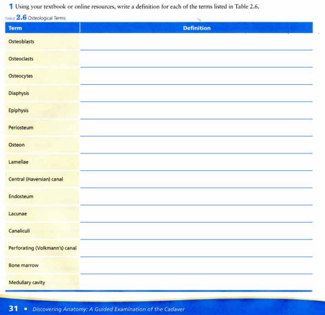 Solved 4 Fill in the blanks using your model and/or cadaver | Chegg.com