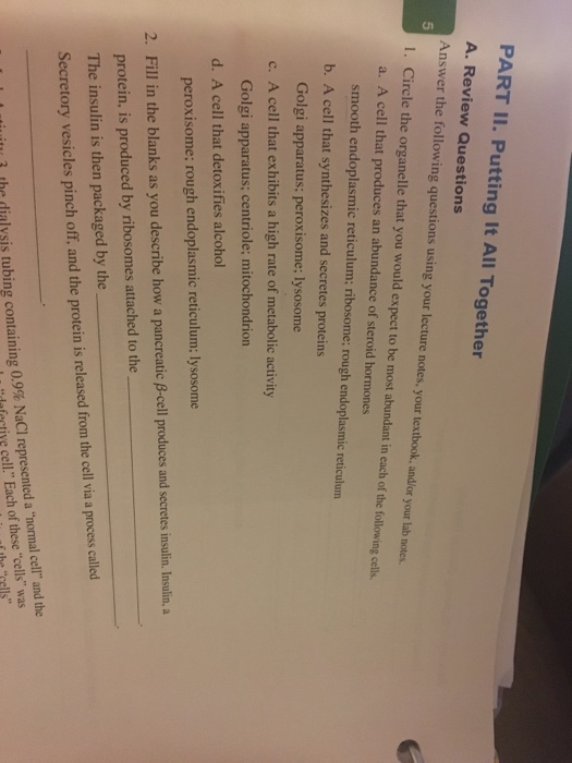 Solved PART I1. Putting It All Together A. Review Questions | Chegg.com