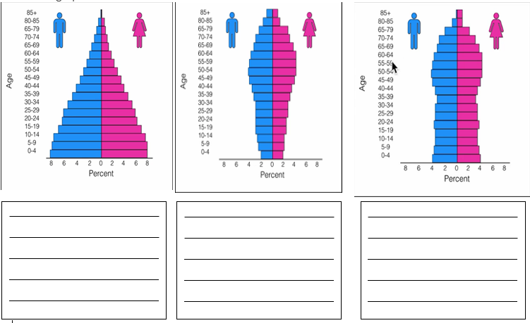 Solved Use the age structures below and EXPLAIN what it | Chegg.com