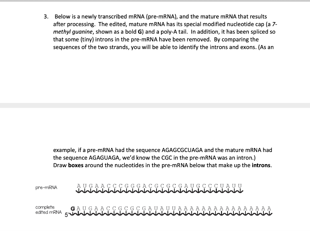 Solved 3. Below is a newly transcribed mRNA (pre-mRNA), and | Chegg.com