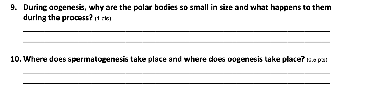 Solved During Oogenesis Why Are The Polar Bodies So Small 4172