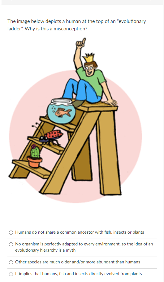 Solved The image below depicts a human at the top of an | Chegg.com