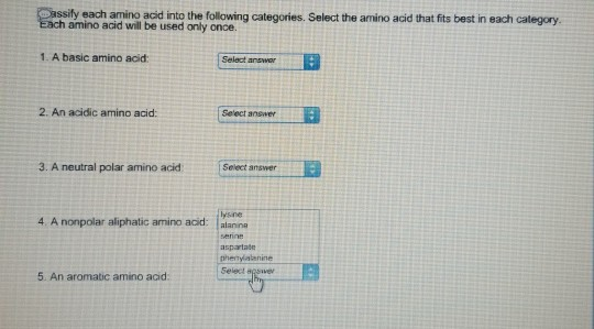 Solved assily each amino acid into the following categories | Chegg.com