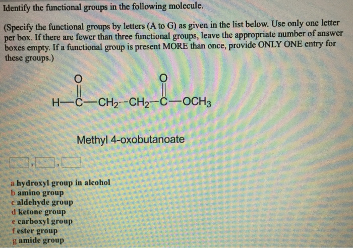 Solved Identify the functional groups in the following | Chegg.com