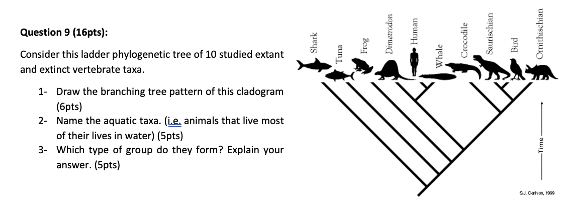 [Solved]: Consider this ladder phylogenetic tree of 10 stud