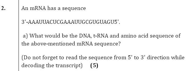 Solved An mRNA has a sequence 3'-AAAUUACUCGAAAUUGCGUGUAGU5'. | Chegg.com