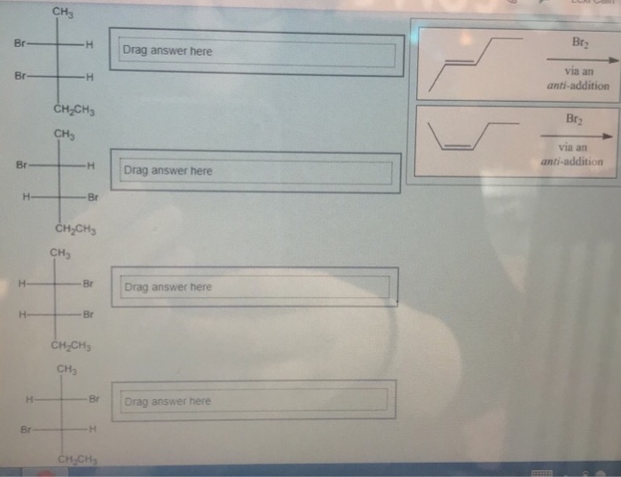 Solved Match the structures of the dibromide product from a | Chegg.com